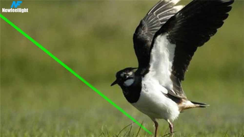 The Ultimate Bird Repeller Using RGB Laser Technology for Effective Ou